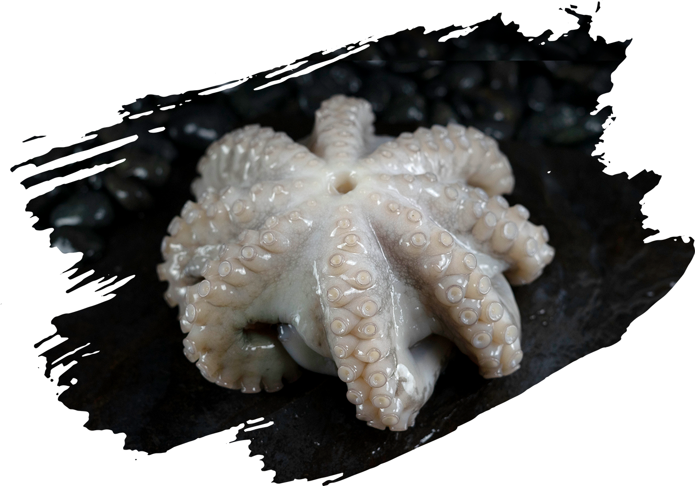 Your Best Seafood Resource - ICS Seafood